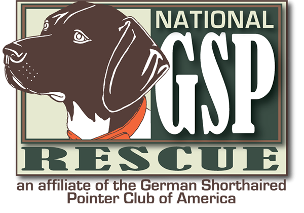 NATIONAL GSP RESCUE | Cello's Corner