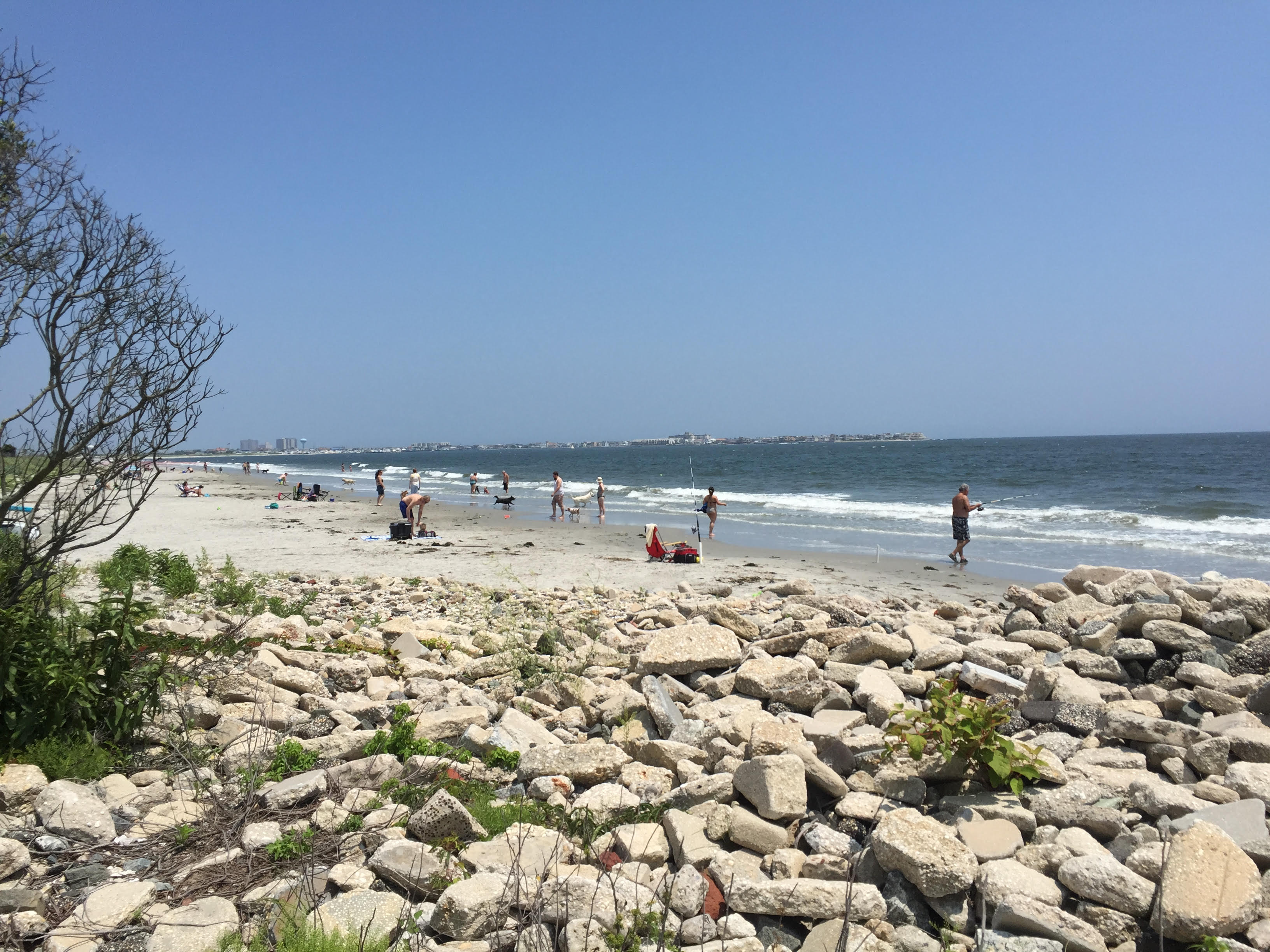 Dog Beach Nj