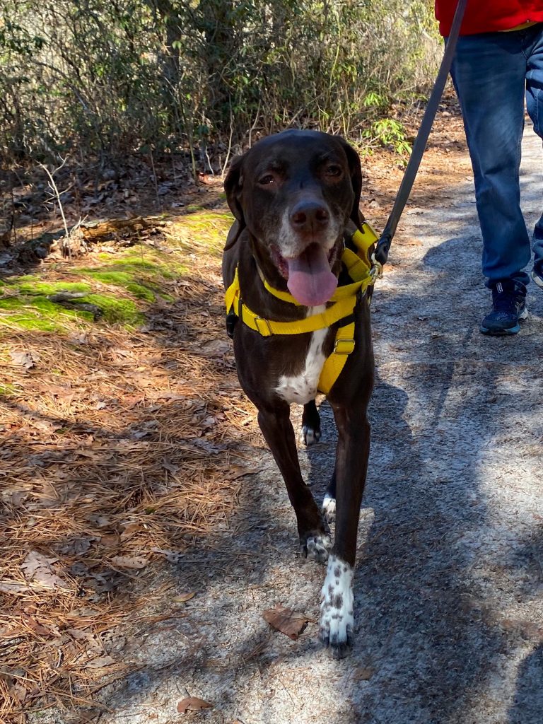 YMCA Camp Ockanickon, Medford, NJ | Cello's Corner