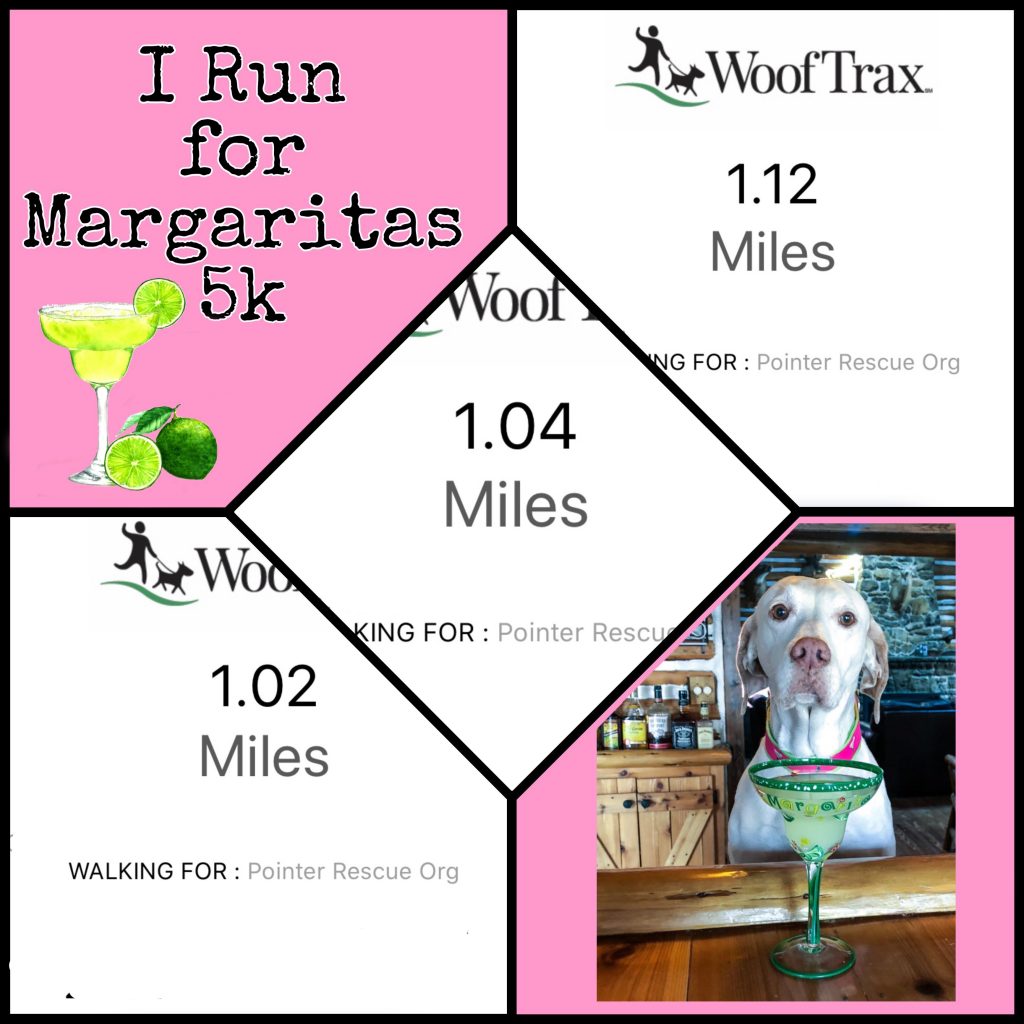 I Run for Margaritas | Cello's Corner