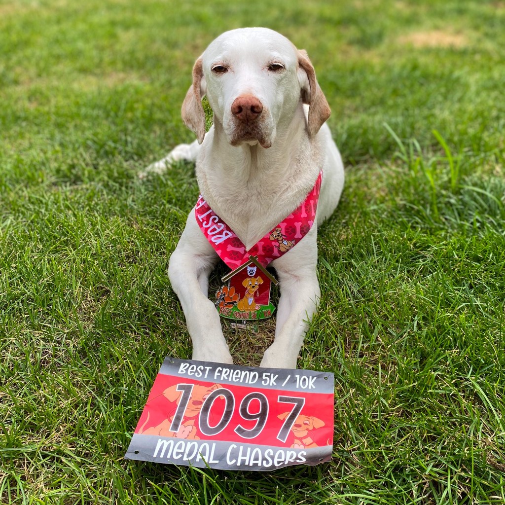 Best Friends 5K | Cello's Corner