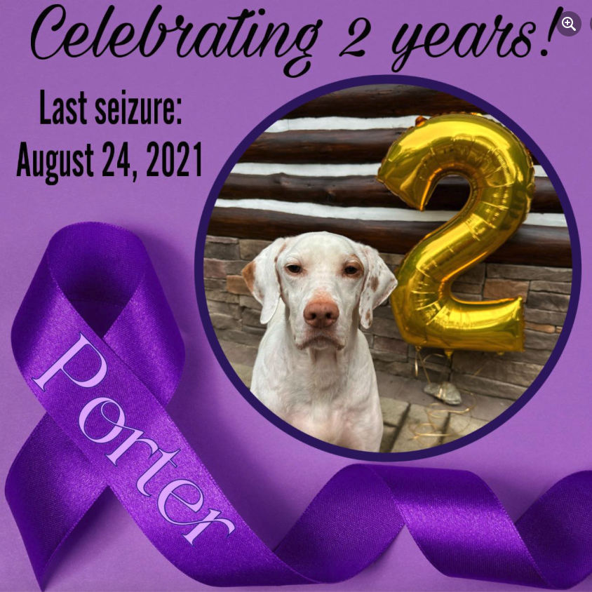 Porter: 2 Years Seizure-Free | Cello's Corner